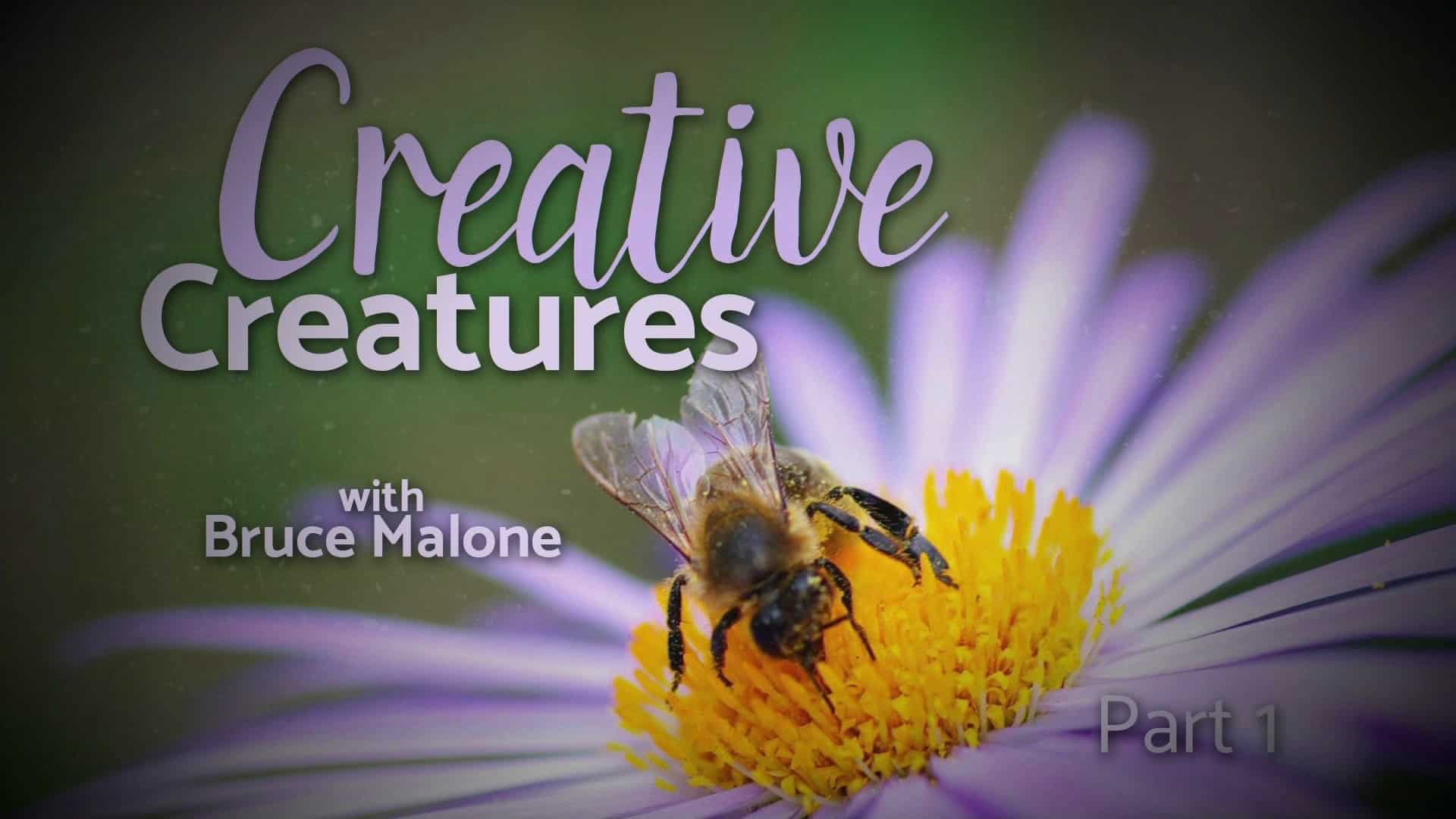 Origins | CornerStone Television Network